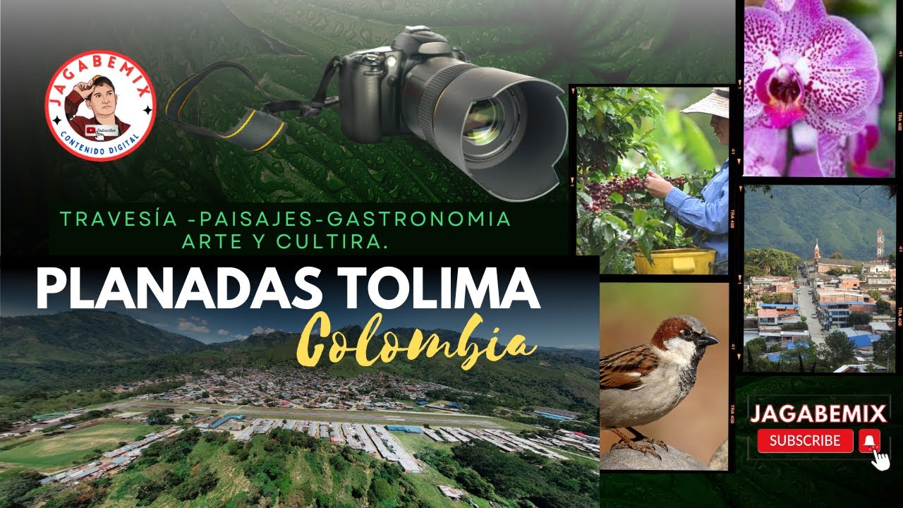 Planadas Tolima, Colombia: El Paraíso Secreto Que Debes Descubrir 🌄🍽️🎨 ...