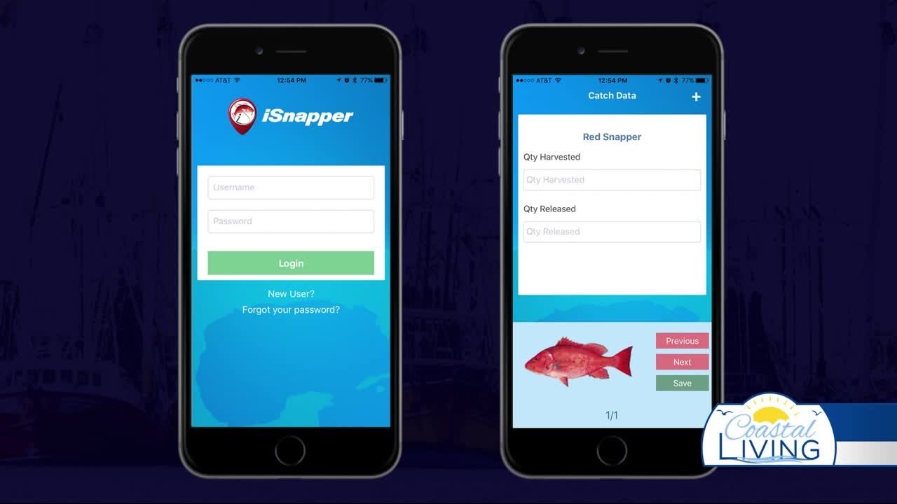 Download The iSnapper App Today And Make Sure Your Catch Counts - YouTube
