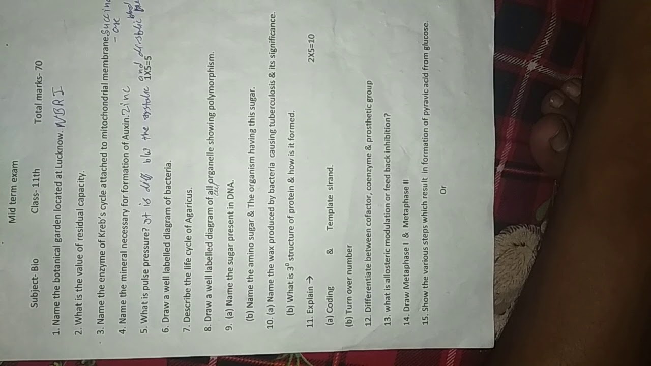 Class 11 Biology Half Yearly Bio Paper Mid Term Exam 2018 19 YouTube class-11-biology-half-yearly-bio-paper-mid-term-exam-2018-19-youtube