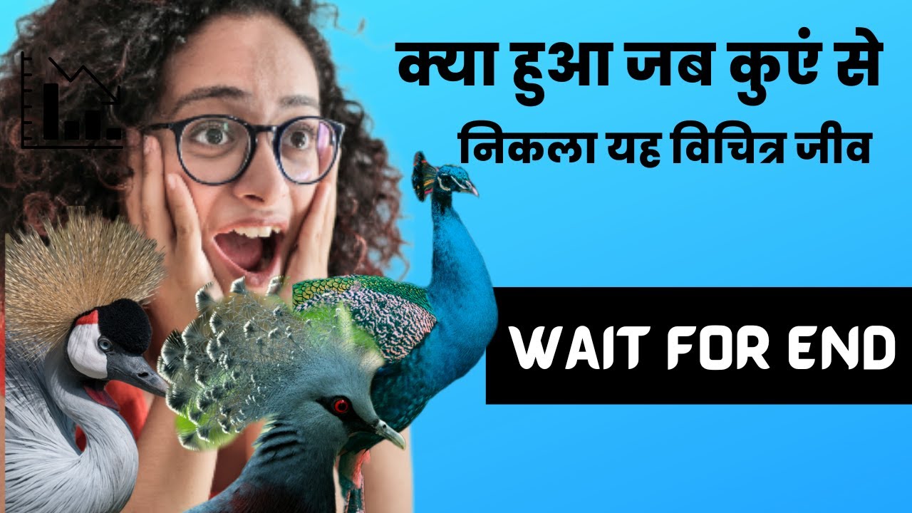 humanity Dangerous Bird Rescue Animal humanity-dangerous-bird-rescue-animal