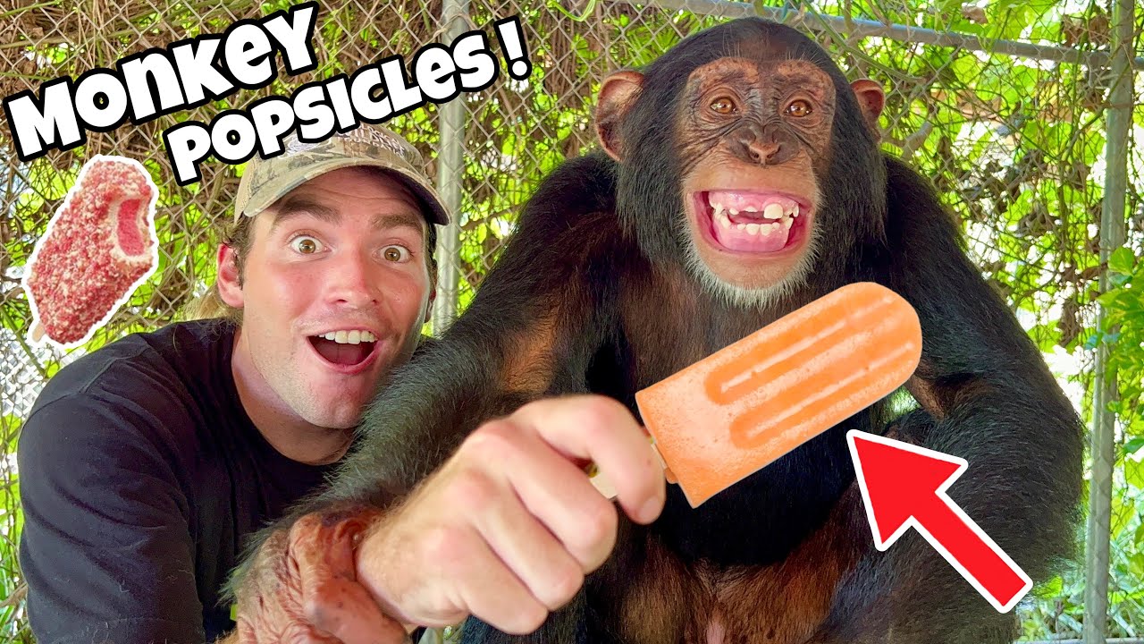 MAKING POPSICLES FOR BABY CHIMPANZEE ! WHAT HAPPENS ?! - YouTube