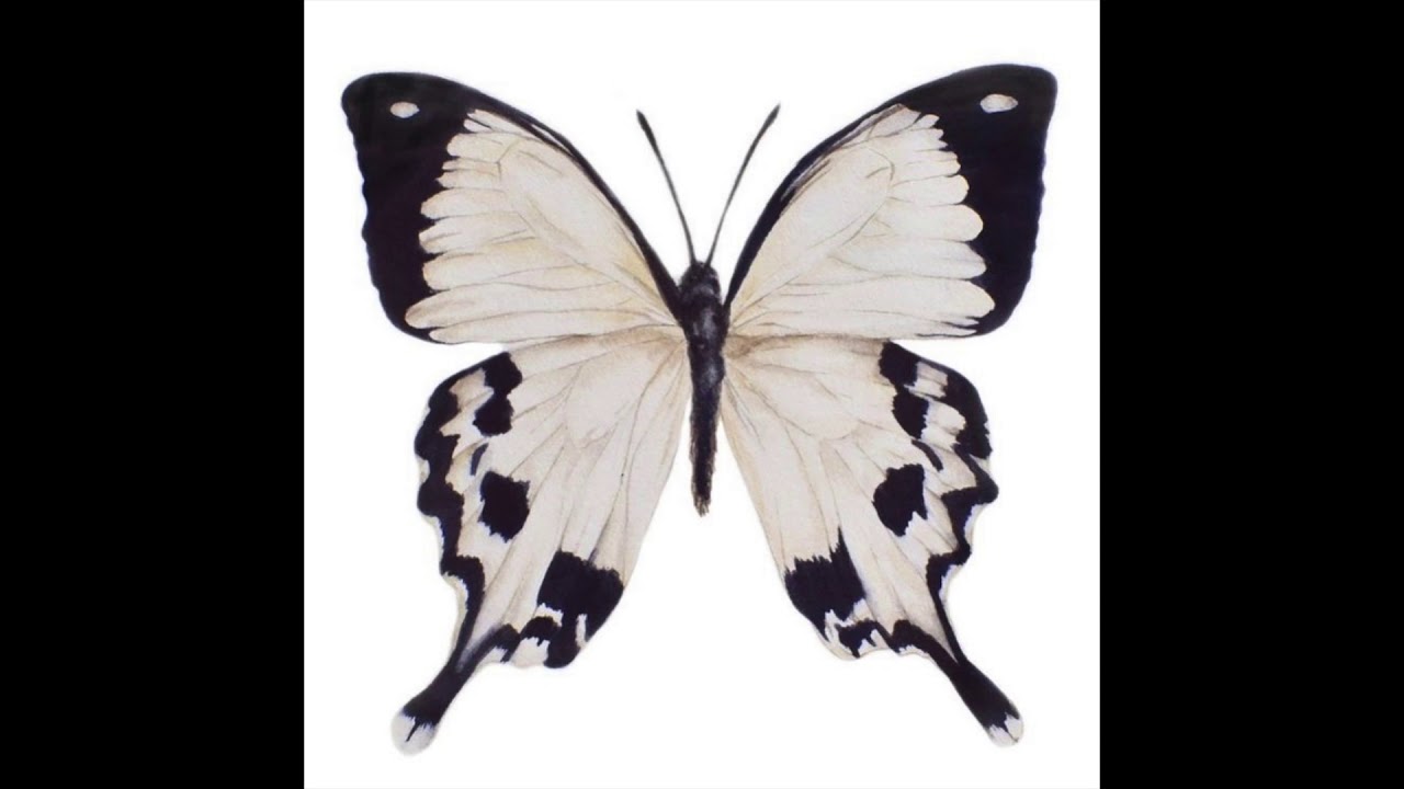 [free] fka twigs x asap rocky type beat "transform" - YouTube