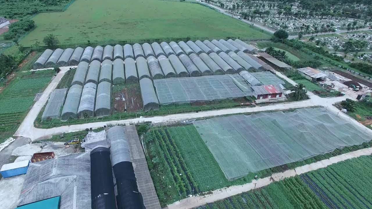 Quan Fa Farm in the Kranji Countryside - YouTube