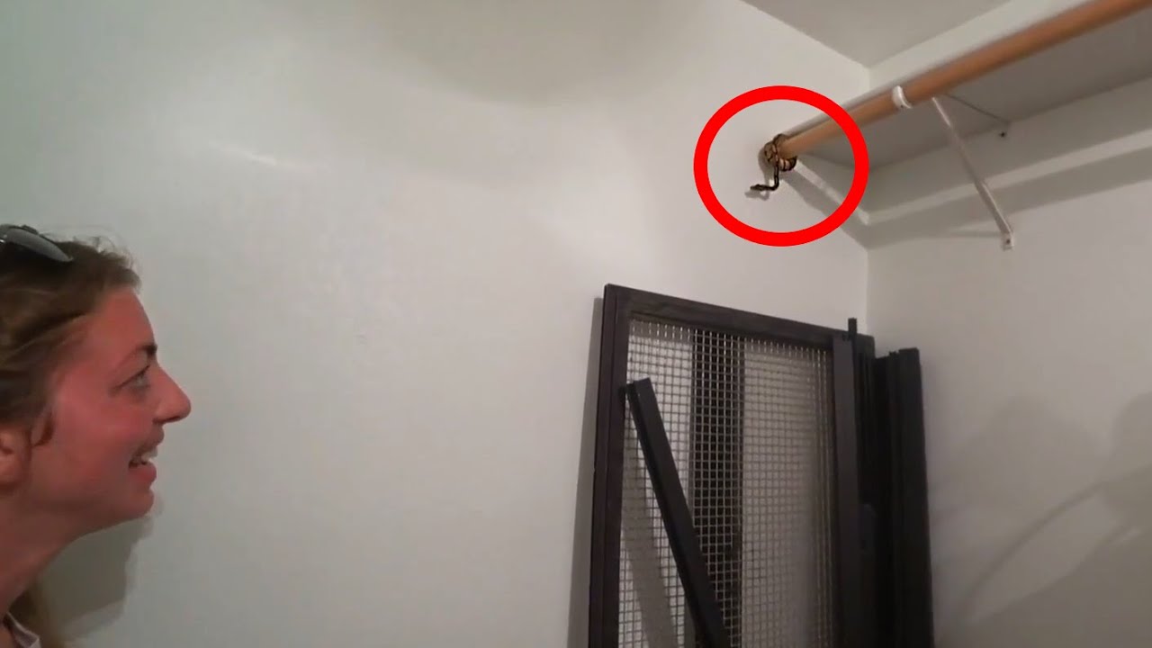 Maya finds out where her snake was hiding at Alveus - YouTube