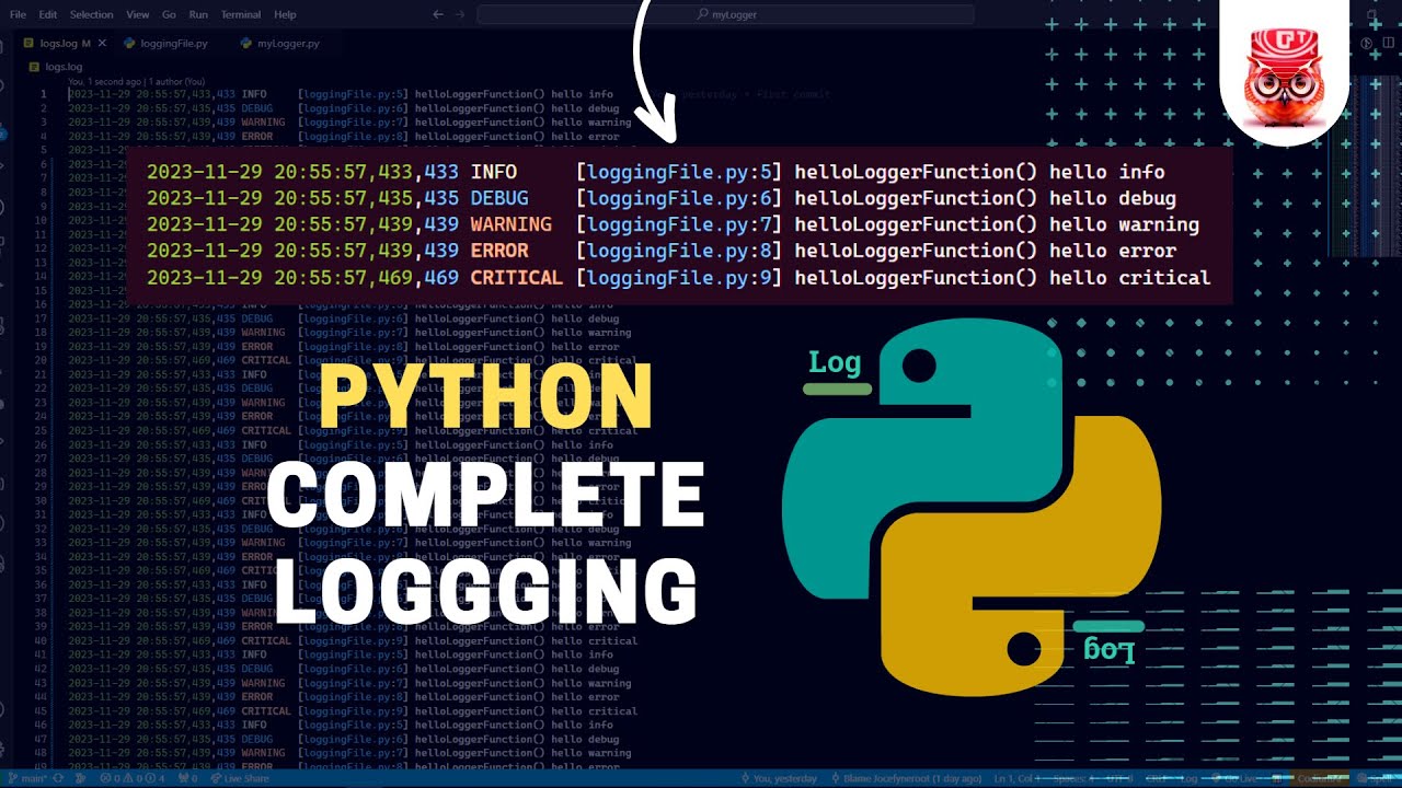 Unlocking the Potential of Loggeer: A Complete Guide | Python Hindi ...