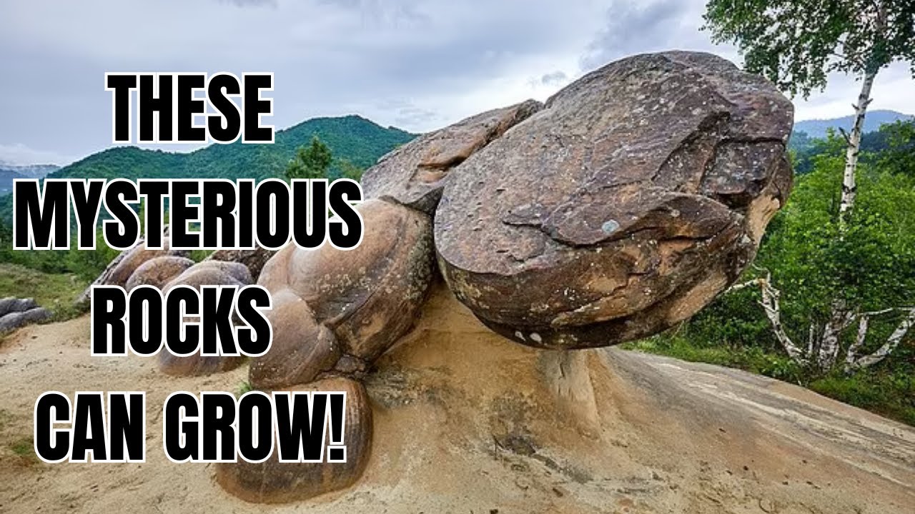 Trovant Rocks: The Bizarre Living Stones of Nature - YouTube