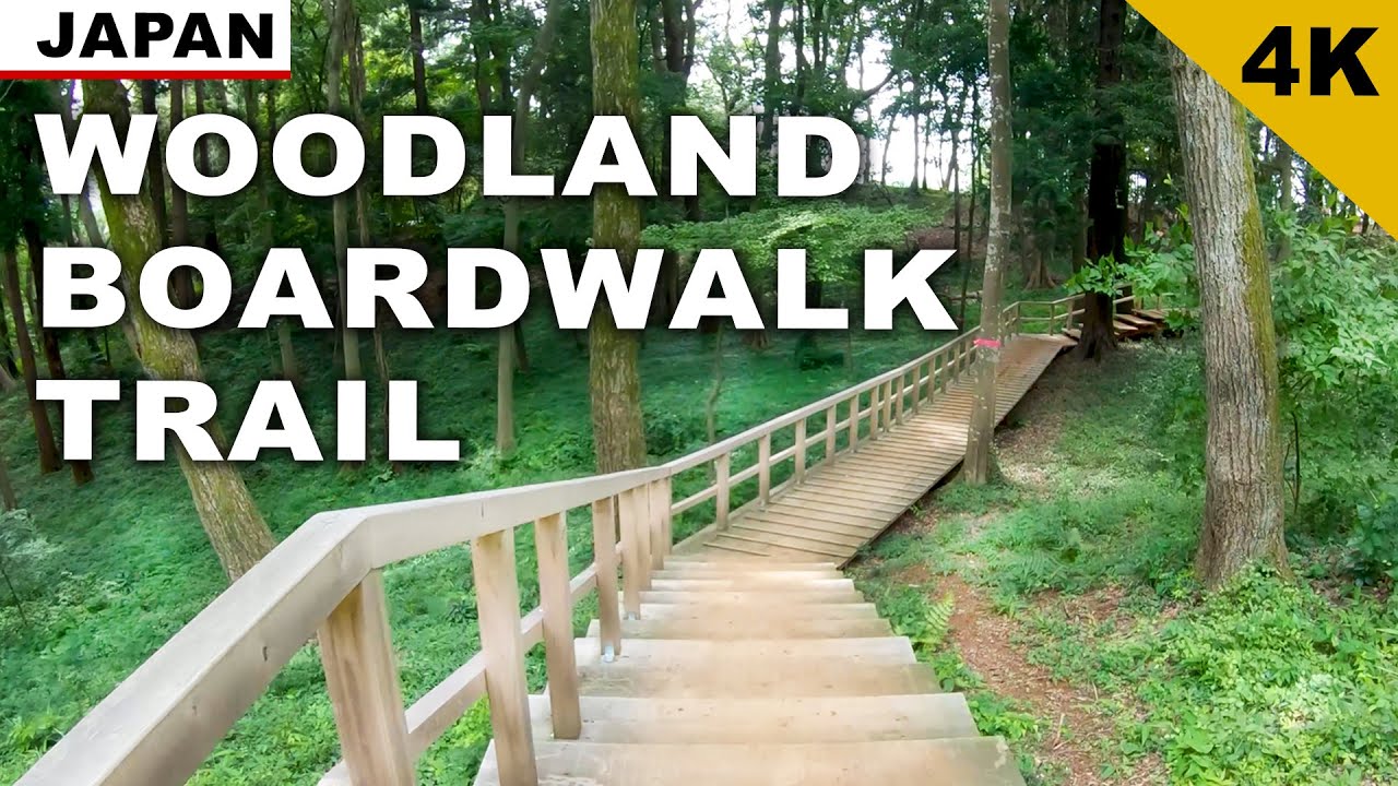 【4K】Woodland Boardwalk Trail - Higashiyamato Sayama Green Space | Japan ...