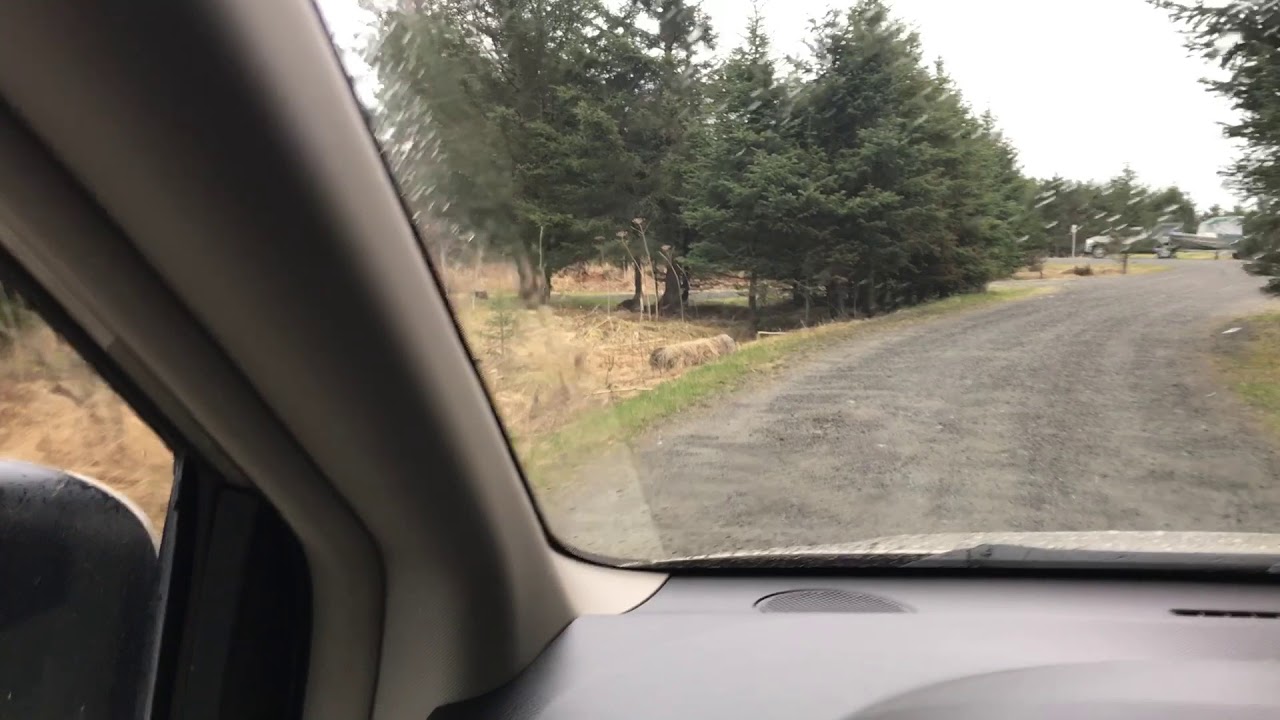 Halibut Campground AK State Rec Area Anchor Pt Alaska - YouTube