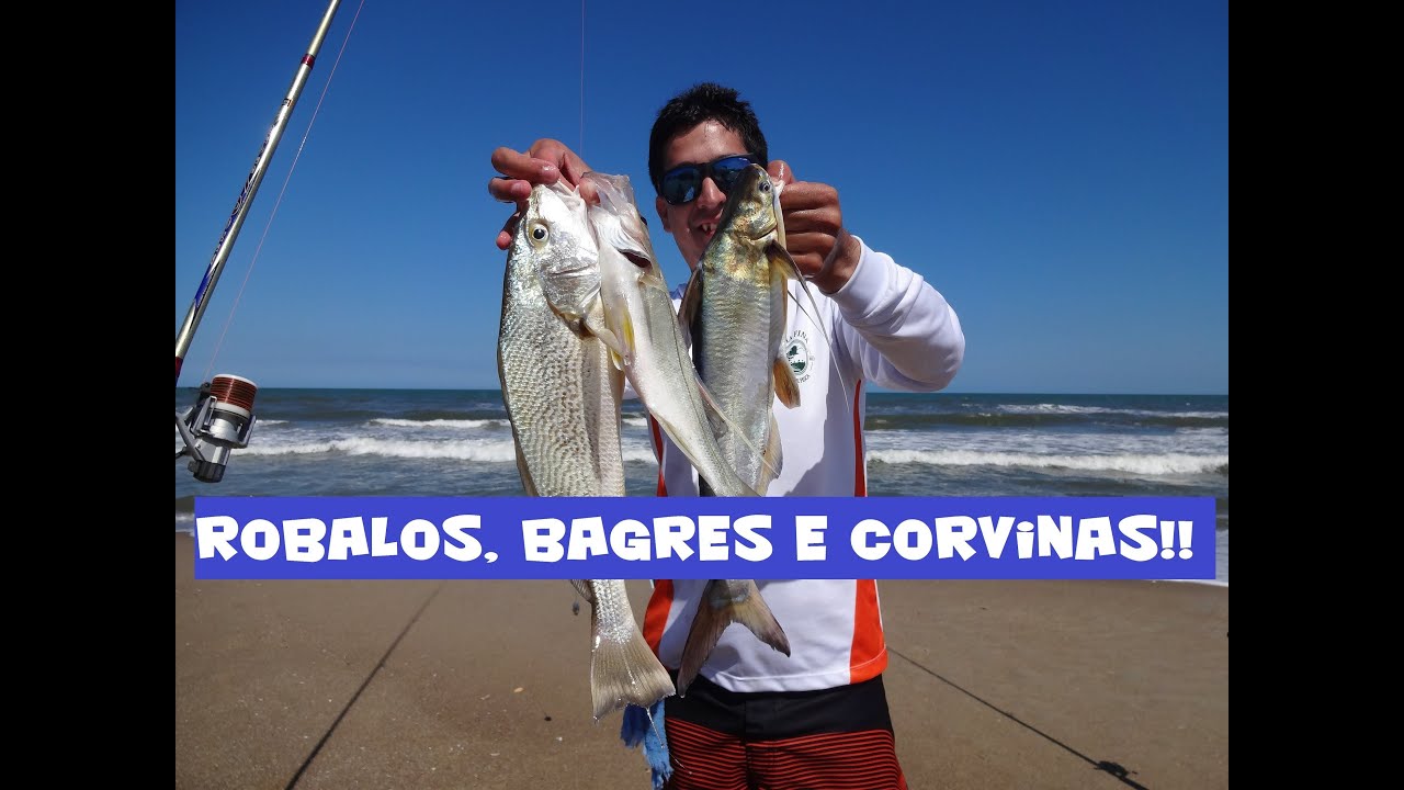 Pesca de Robalos, Bagres e Corvinas!! - YouTube