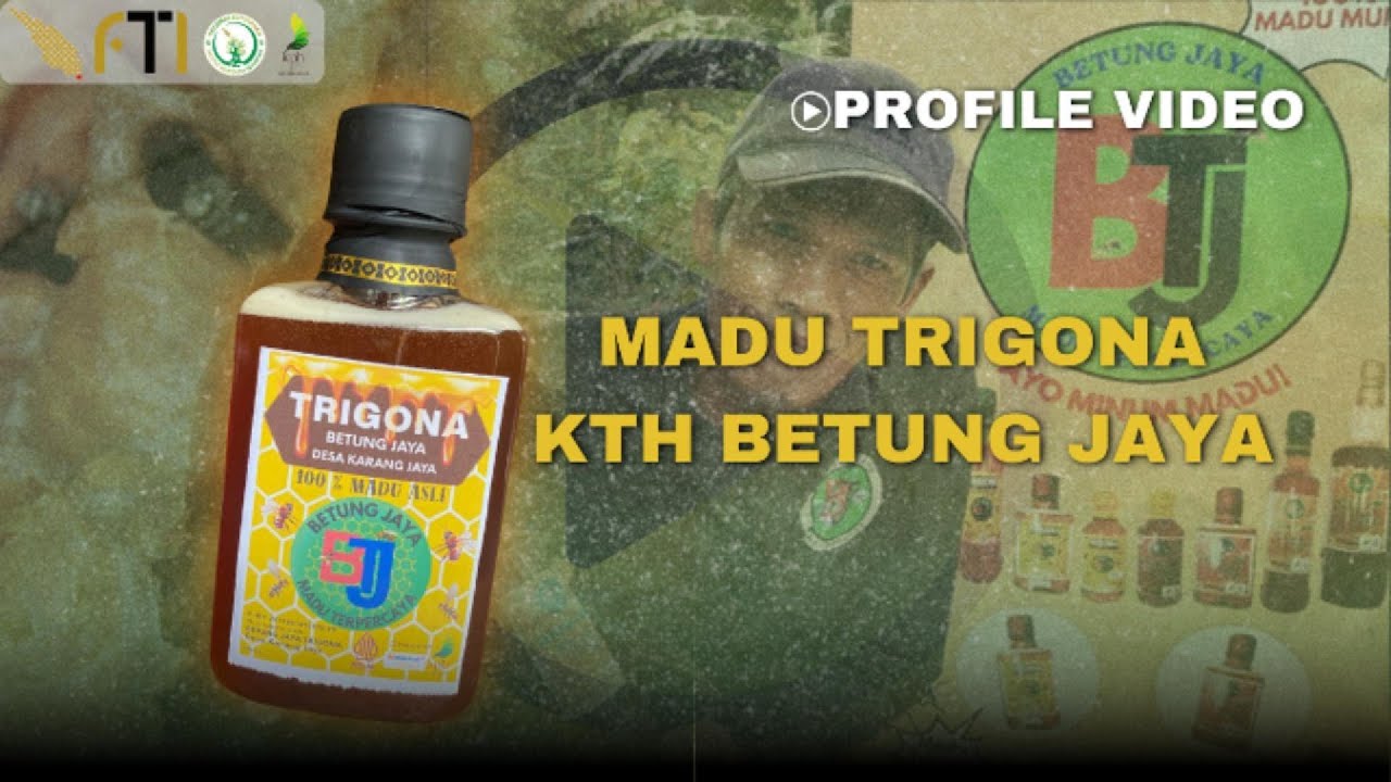 PROFIL MADU TRIGONA KTH BETUNG JAYA - YouTube
