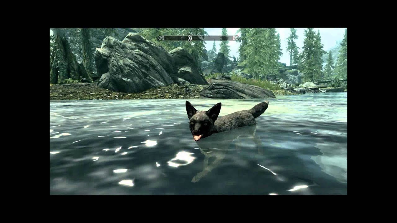 Skyrim - WORKOUT FOX - YouTube