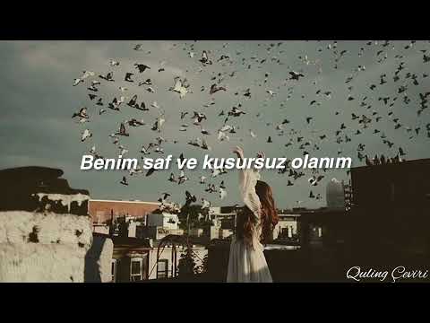 Nizamettin Ariç - Ez Şahim Delala Min (Türkçe Çeviri)