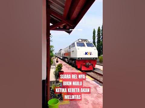 Mungkin ini yg disebut medan magnet Lokomotif CC203 9812 || KA.Probowangi#keretaapi#railfans# ...