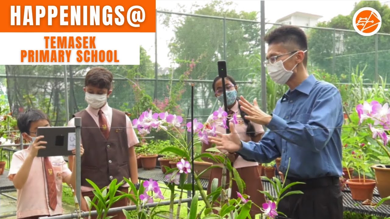 Happenings@Temasek Primary School - YouTube