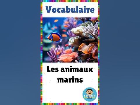 Vocabulaire : Les animaux marins || Français #eme #vocabulaire # ...