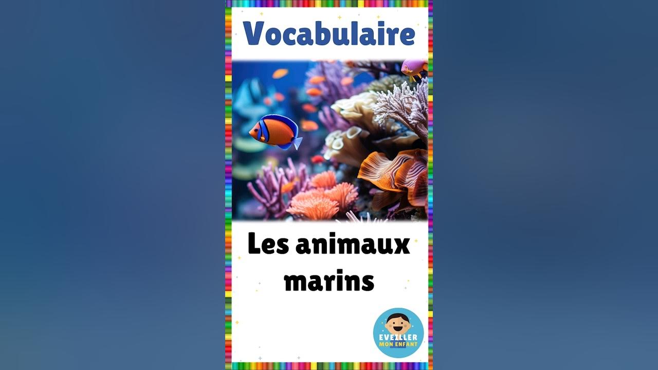 Vocabulaire : Les animaux marins || Français #eme #vocabulaire # ...