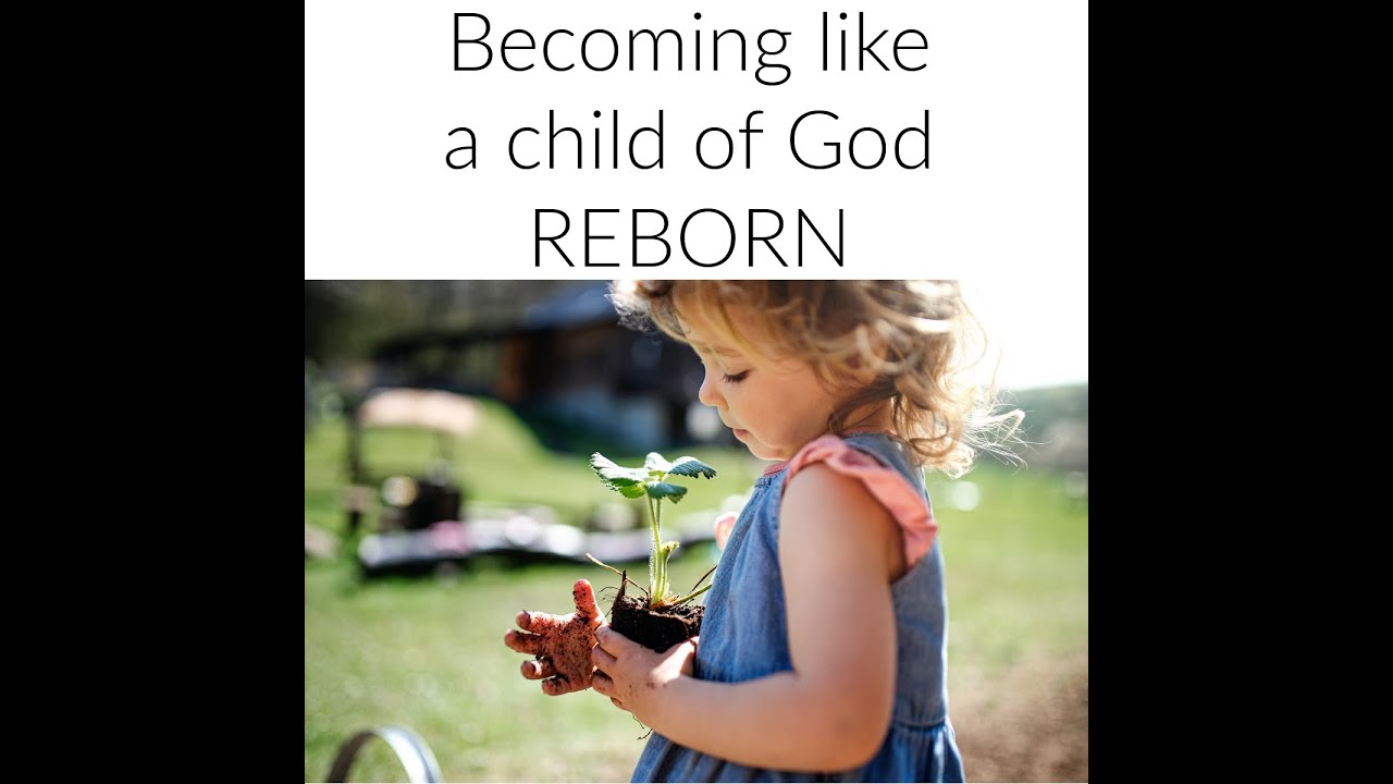 To become a child of God. (reborn) Bible wisdom card pull. Better than ...