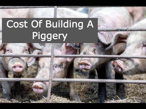 The Cost Of Building a Pig House| Pig farming Tips - YouTube