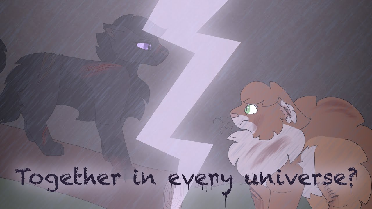 Together In every universe? | Warrior cats OC animation - YouTube