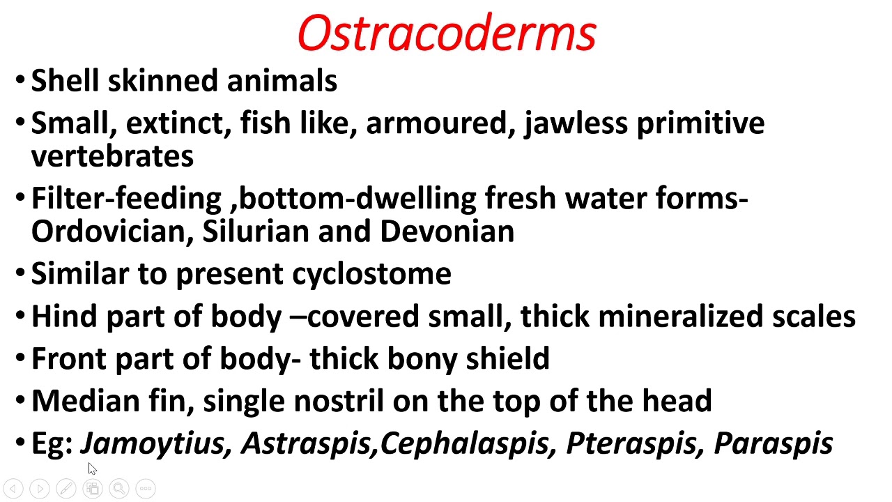 ostracoderms - YouTube