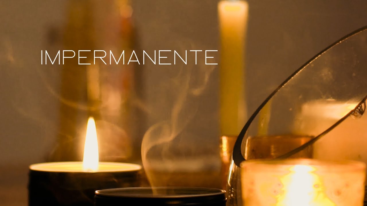 Impermanente (Vivi Rocha) - YouTube