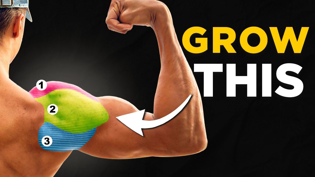Ultimate Shoulder Growth Guide: Unlocking Bigger & Stronger Delts ...