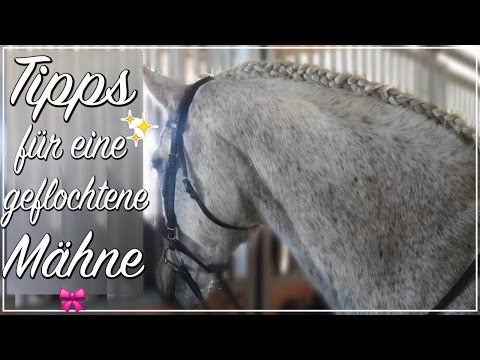 Tipps für eine schön geflochtene Mähne ♥