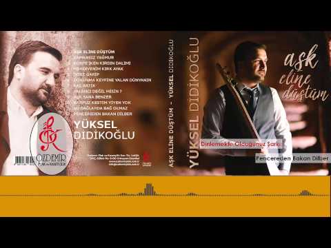 Pencereden Bakan Dilber | Yüksel Didikoğlu