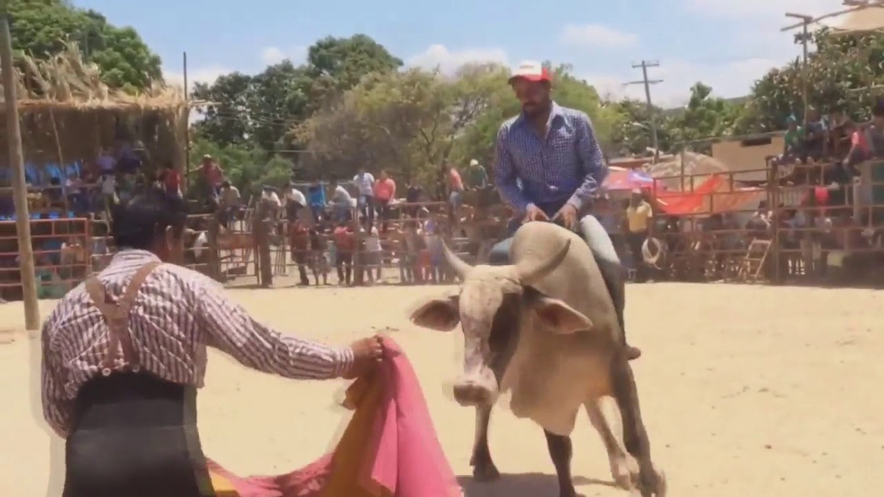 TOREADAS EN YUSCARAN - FERIA DEL 7 AL 15 DE DICIEMBRE - YouTube