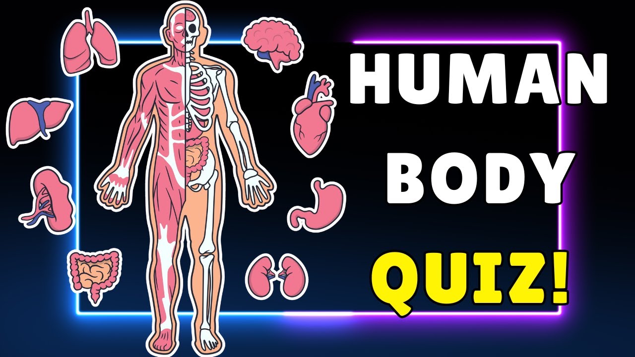 🤓 Can You Pass This Human Body Quiz? 🧠 | Game Night | General Knowledge ...