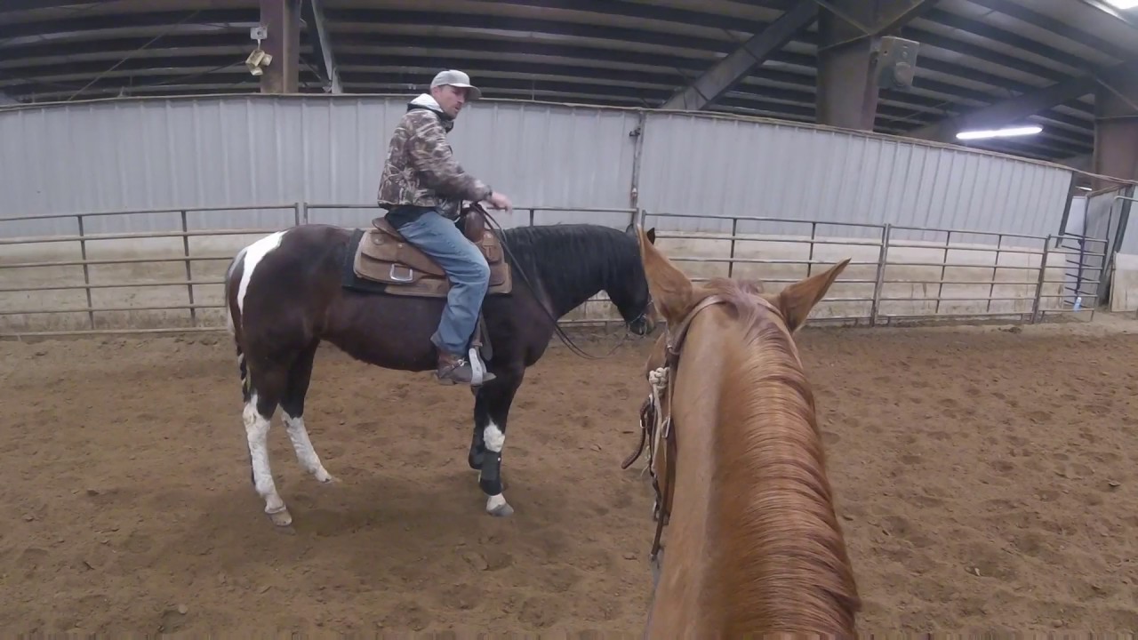 Mack Weaver, The Lead Change on a Reining Horse - YouTube