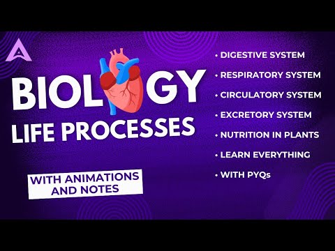BIOLOGY | LIFE PROCESSES ch 6 | HUMAN BODY SYSTEMS | CLASS 10 | RBSE ...