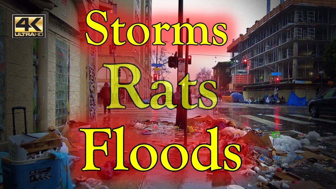 Storms Rats Floods on Skid Row Homeless Encampments Los Angeles - YouTube