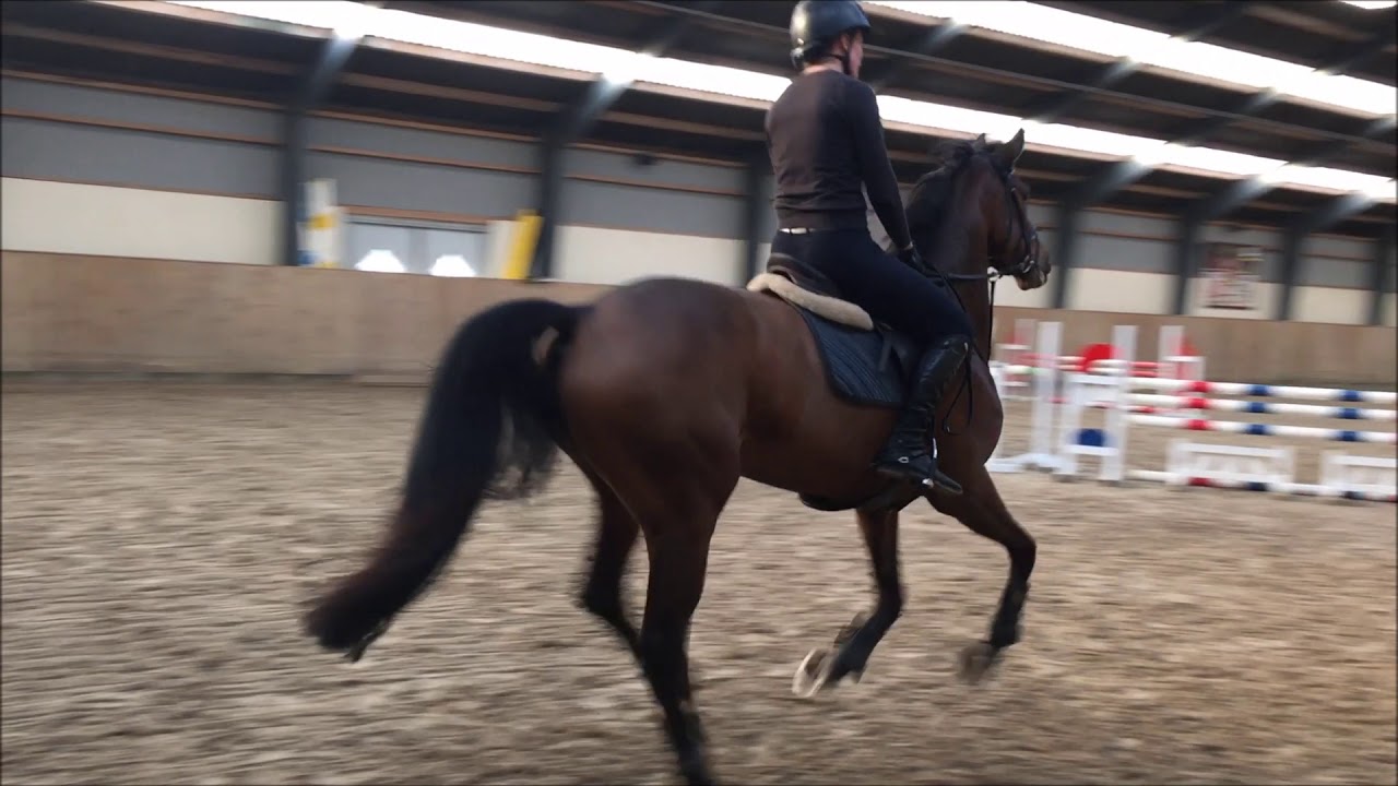 Isedora (SOLD) - YouTube