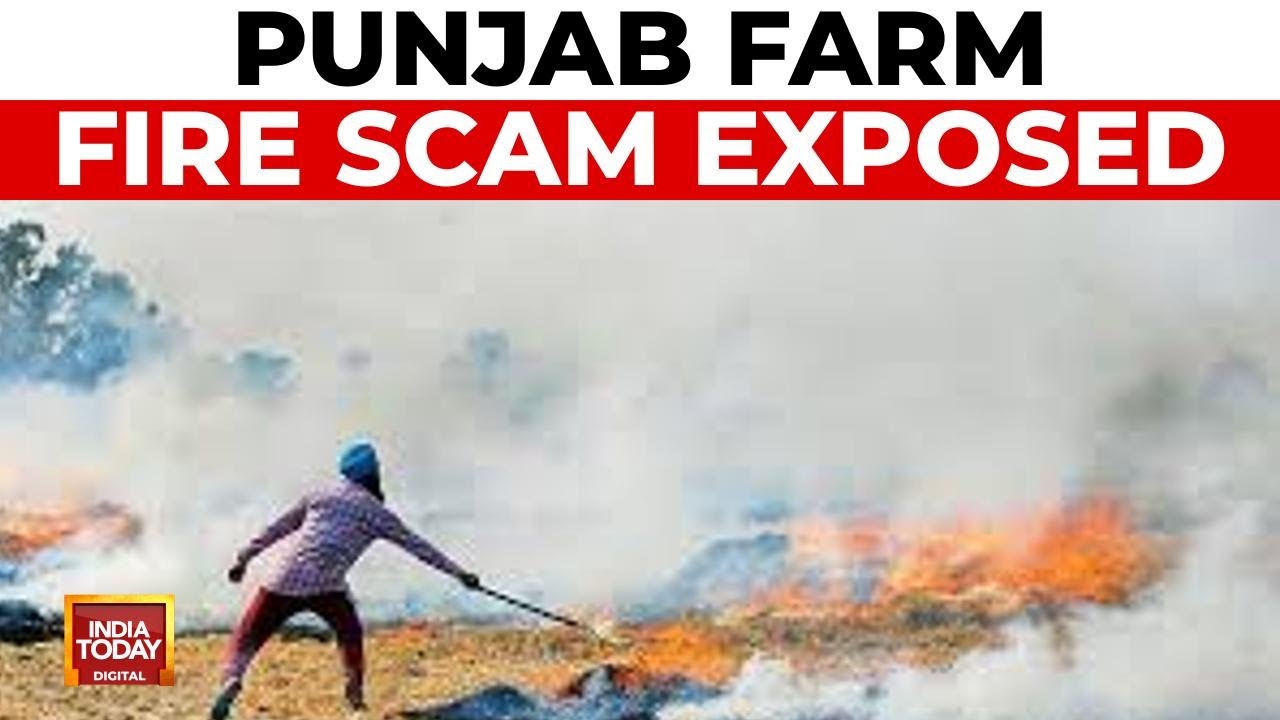 Punjab Farm Fire Scam, Sparks Political Uproar | What's Making The ...