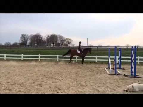 Danfield at the Robin Walker clinic 4/21/14 - YouTube
