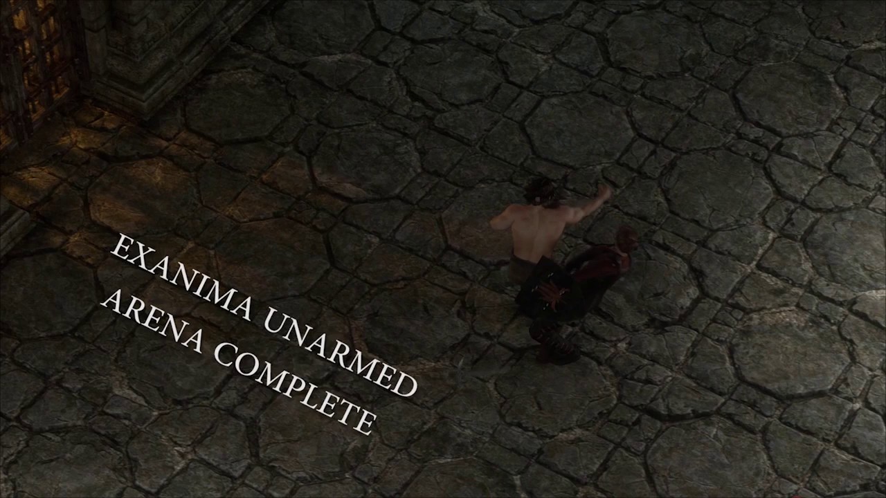 Exanima Practice Arena Unarmed Playthrough - YouTube