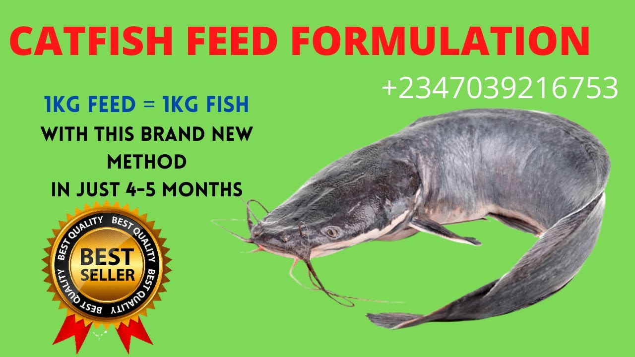 Catfish Feed Formulation YouTube catfish-feed-formulation-youtube