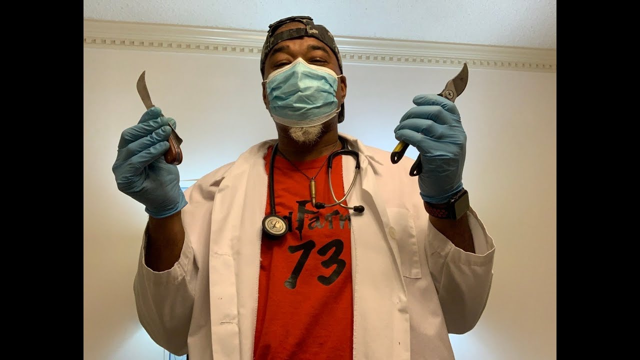 How to Save your fruit tree! Airlayering and grafting - YouTube