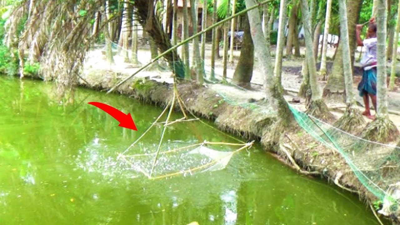 New Technique for Fish Catching | Asian Village Traditional Fishing by ...