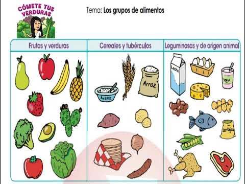 LOS GRUPOS DE ALIMENTOS - YouTube