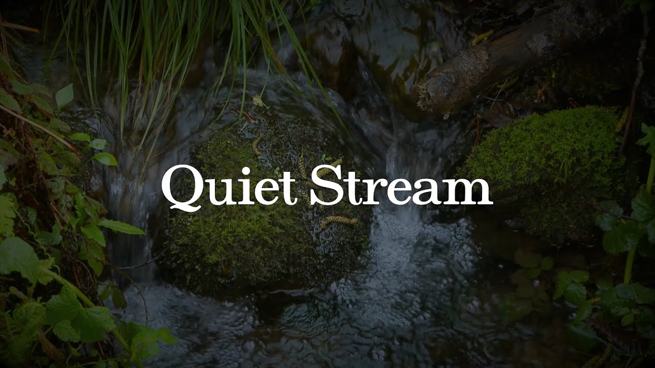 Quiet Stream | Relax, Calm, Study, Meditation - YouTube