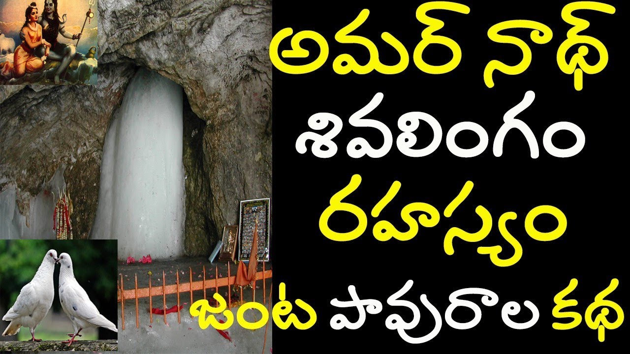 amarnath cave mystery | amarnath temple secret | amarnath real pigeon ...