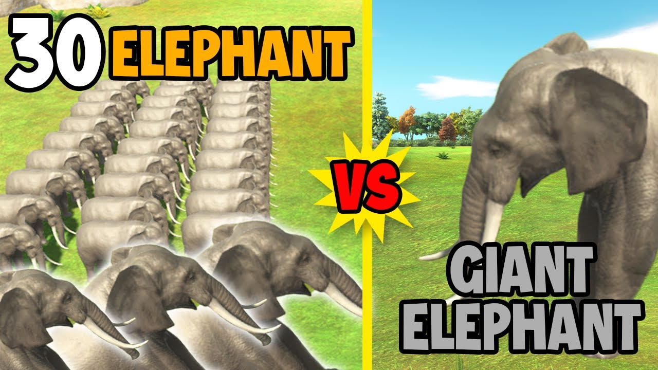 30 Elephant vs Giant Elephant | Animal Revolt Battle Simulator - YouTube