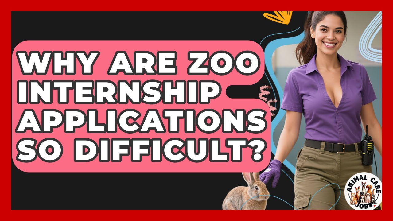 Why Are Zoo Internship Applications So Difficult? - Animal Care Jobs ...