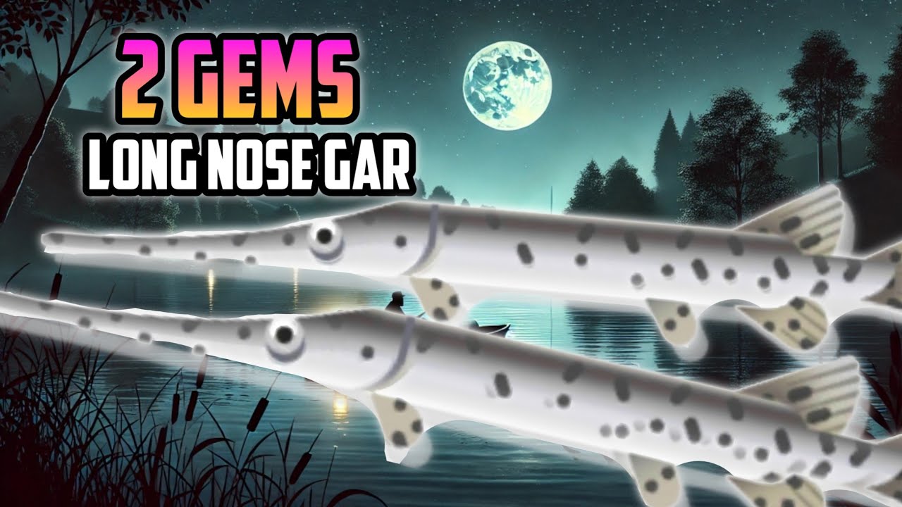 LONG NOSE GAR X 2 = 2 GEMS Creatures of the Deep February 2025 - YouTube