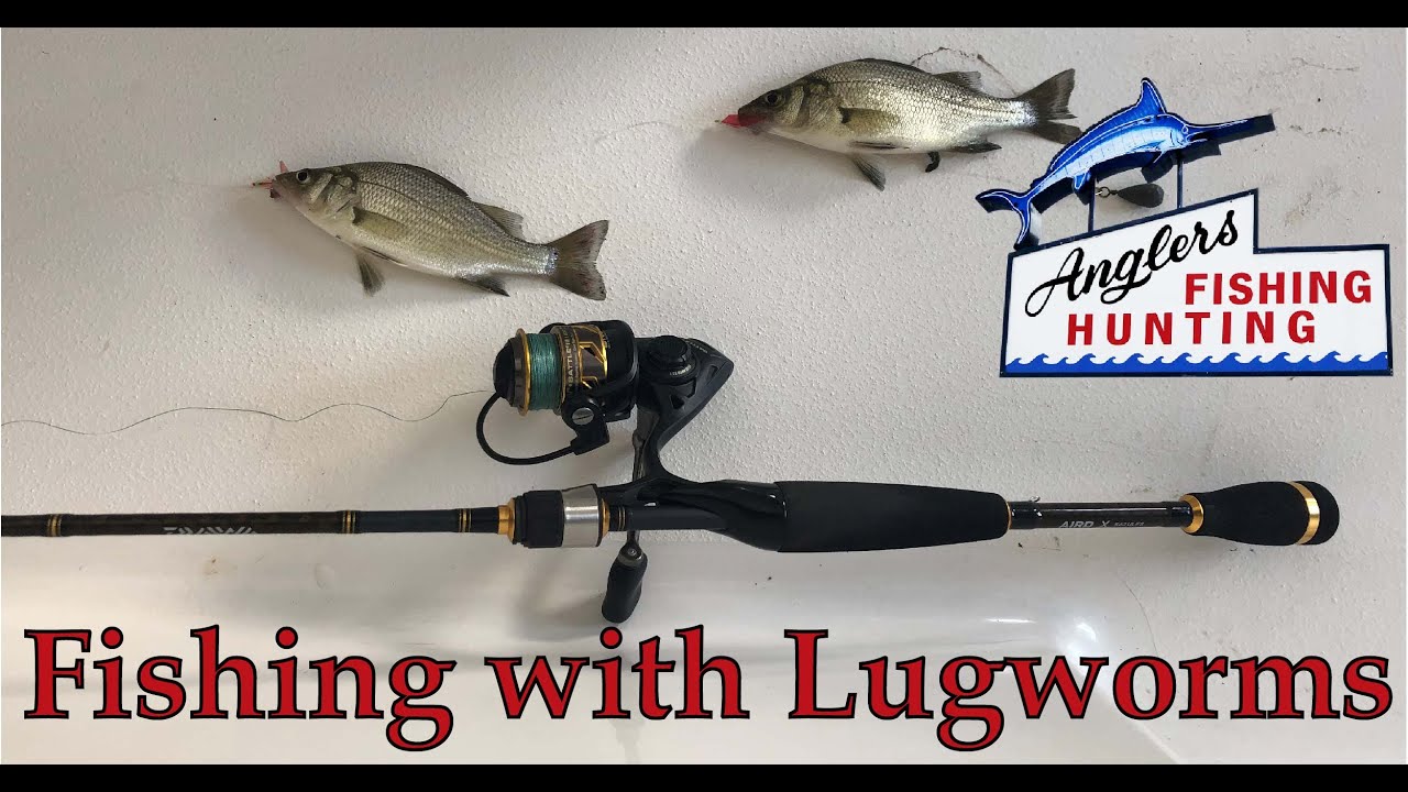 Fishing with Lugworms - YouTube
