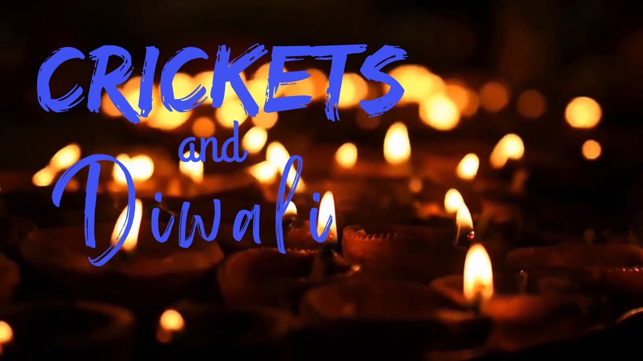 Crickets and Diwali | Crickets and Light | Ambient Sound | What Else Is ...