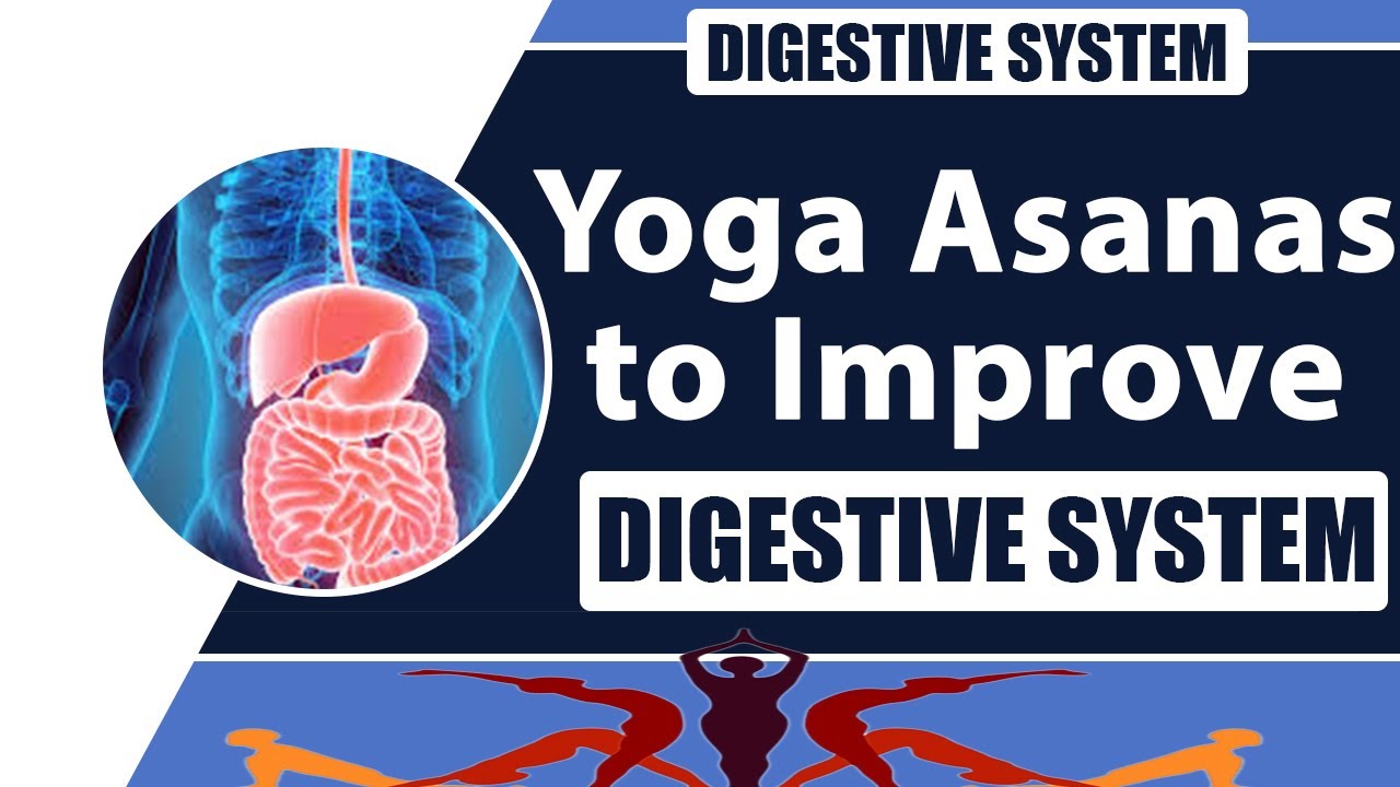 Yoga Asanas to Improve Digestive System || VIP News - YouTube