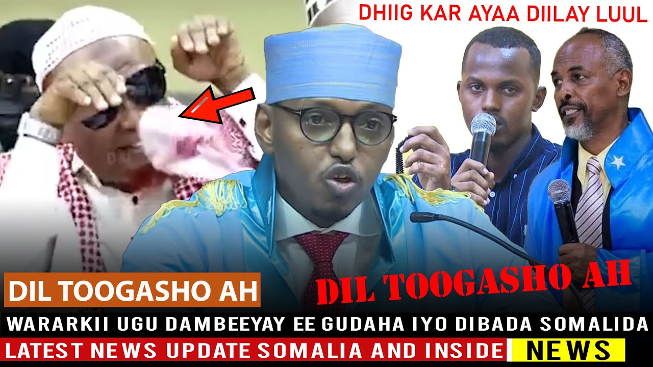 SAYID CALI OO DILKII LAGU XUKUMAY QOYSKIISU DIIDEEN QAREEN XALANE OO ...